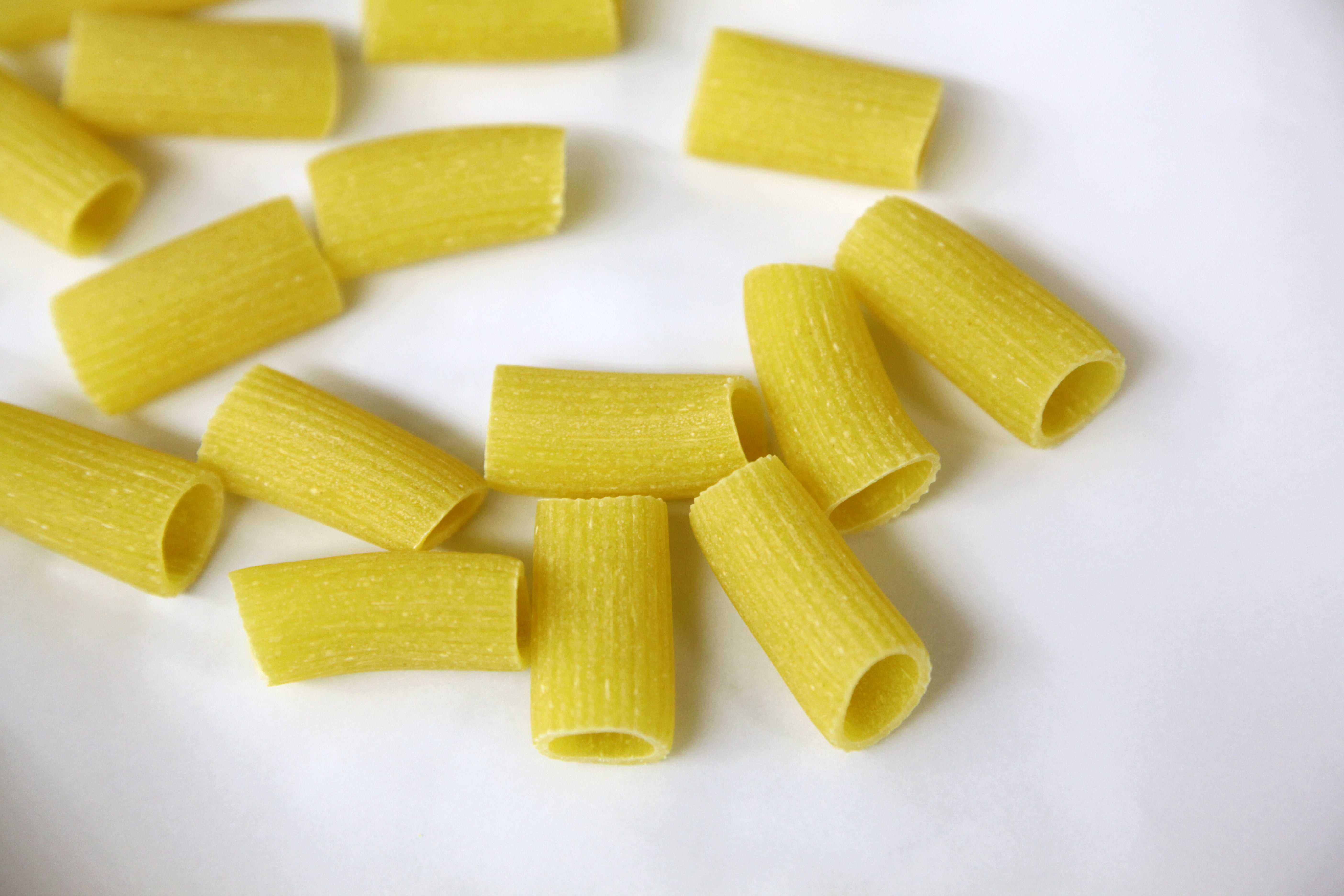 Pastosa Rigatoni Pasta – Pastosa Shop Online