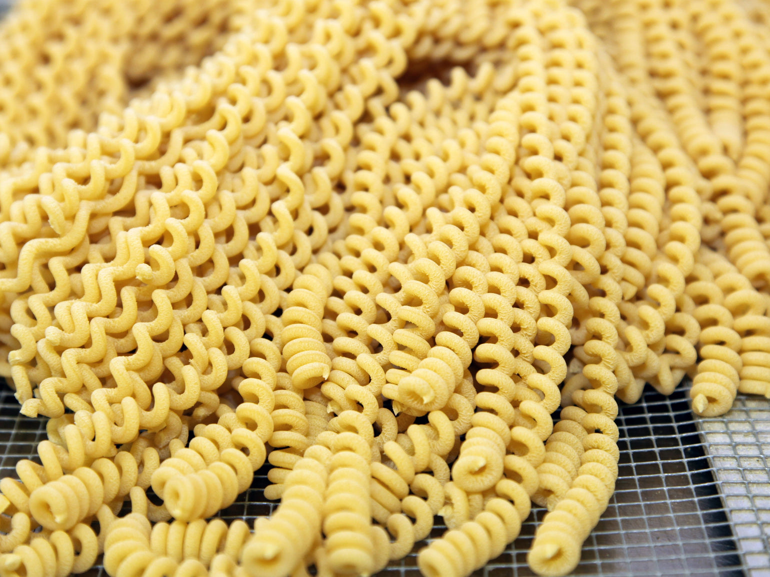 Fresh Pasta – Pastosa Shop Online